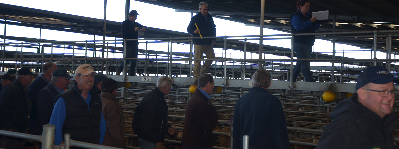 Western Australian Meat Industry - Muchea Livestock - WAMIA