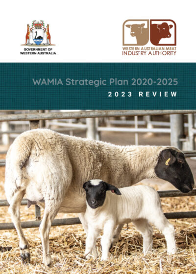 WAMIA Strategic Plan - Wamia